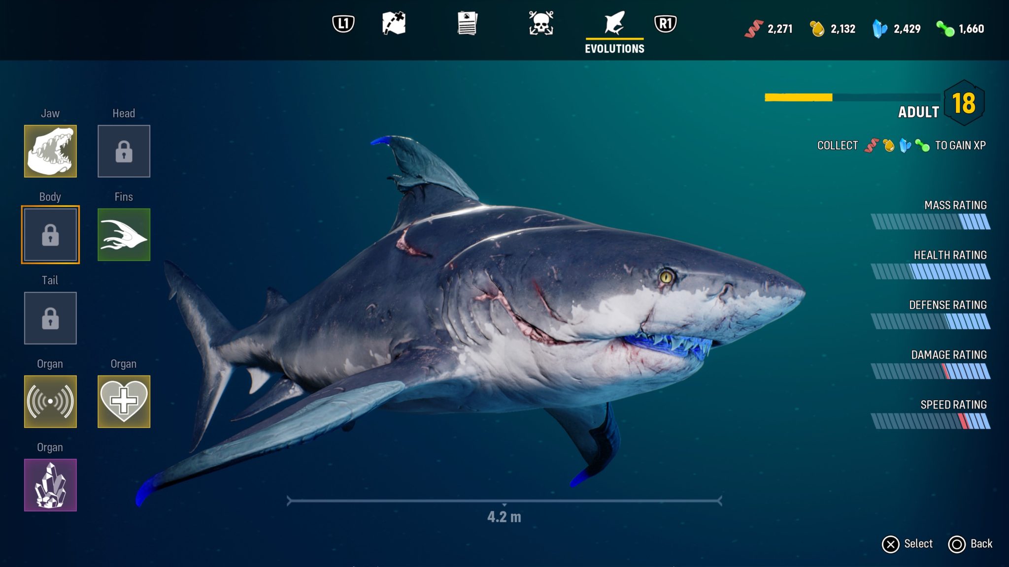 Maneater Thrives Despite Issues - PS4 Review - But Why Tho?